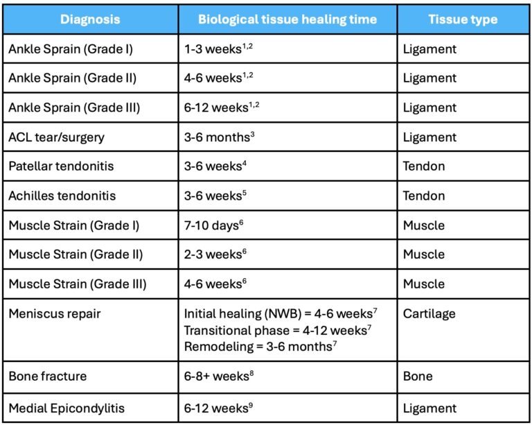 Tissue-Specific Injury Recovery Timeline: Muscle vs Ligament Healing ...