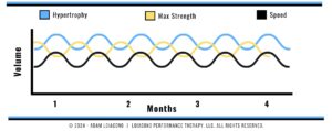 Complete Guide to Undulating Periodization for Strength | Adam Loiacono