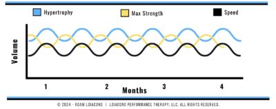 Complete Guide to Undulating Periodization for Strength | Adam Loiacono