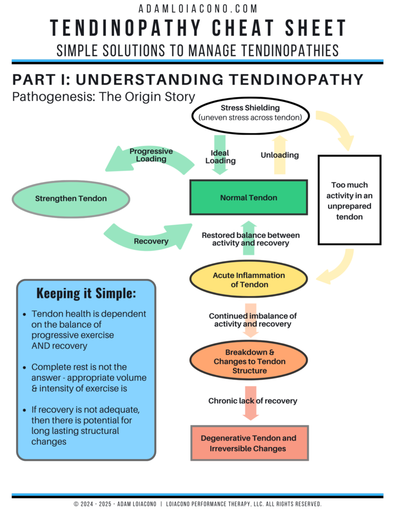 A Guide for High Performance Tendon Rehab | Adam Loiacono