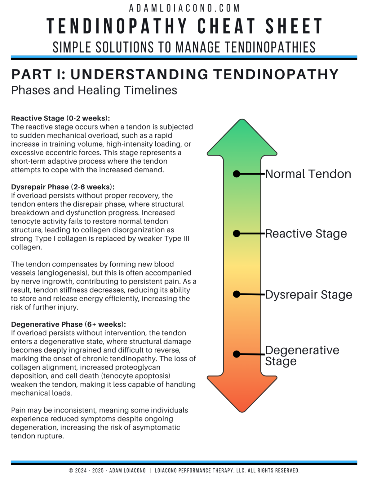 A Guide for High Performance Tendon Rehab | Adam Loiacono